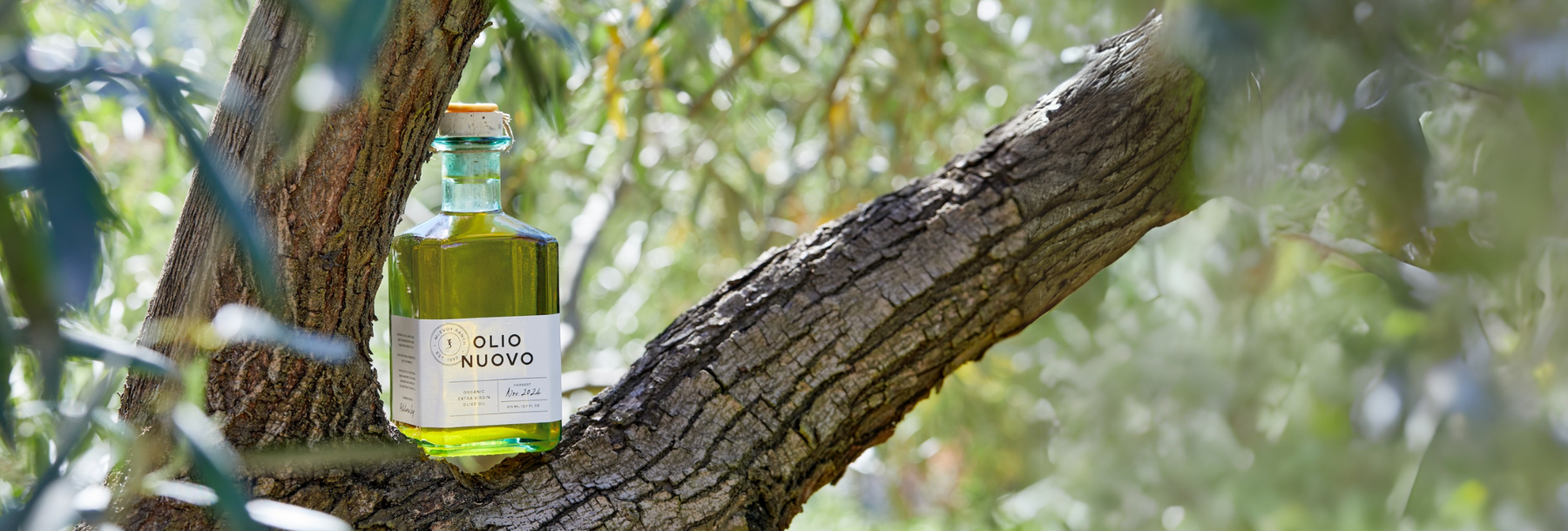 McEvoy Ranch: Organic Extra Virgin Olive Oil, Wine, Food & Gifts